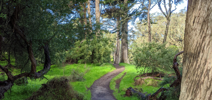 Trail – Robert Runs